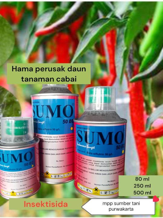 Sumo 50ec insektisida Basmi hama tanaman cabai tersedia kemasan 80 ml ...