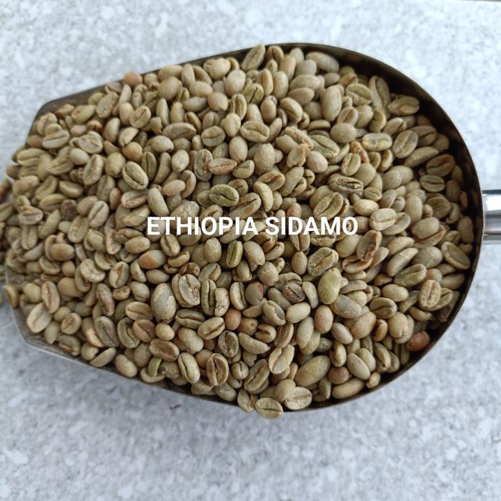 ETHIOPIA SIDAMO PREMIUM GREEN COFFEE BEANS 1KG (RAW) | Lazada PH