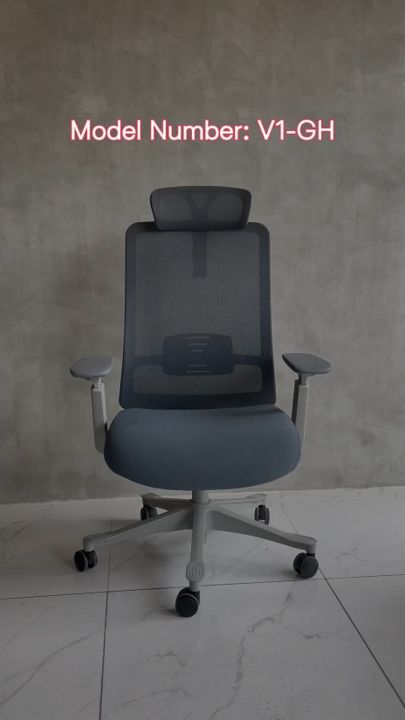 Aergonix™ Ergonomic Chair V1 | Lazada PH