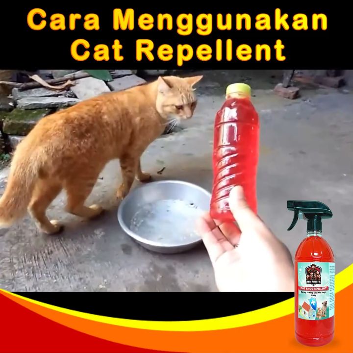 Mr Power Cat & Dog Repellent Spray (1200ml) Penghalau Kucing dan Anjing ...