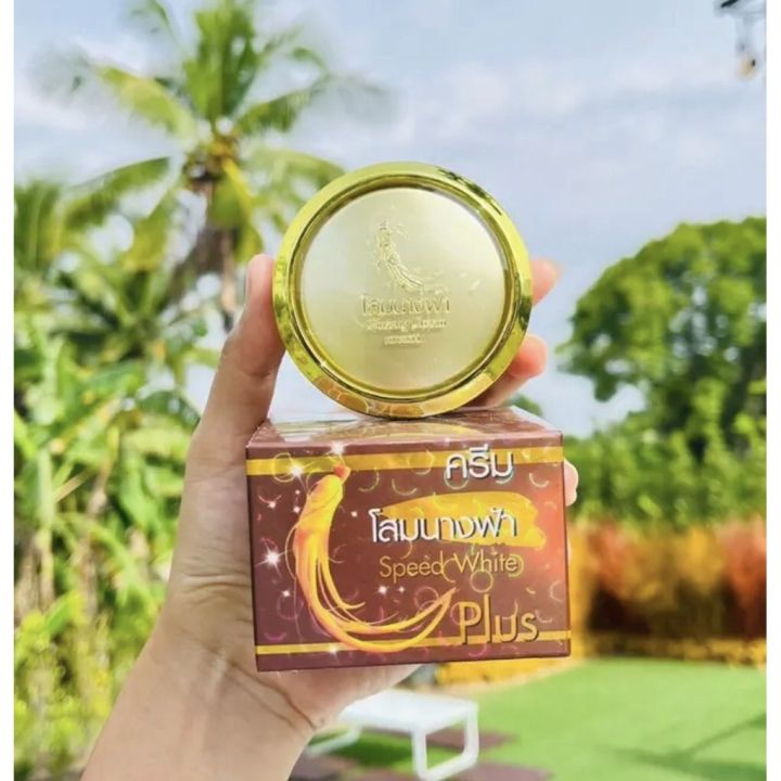 ครีมโสมนางฟ้า กลางคืน Speed White Plus Premium Ginseng 20 g. | Lazada.co.th