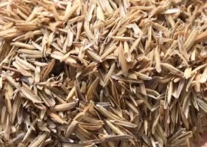 ipa ng palay/Rice hull/balat ng palay | Lazada PH