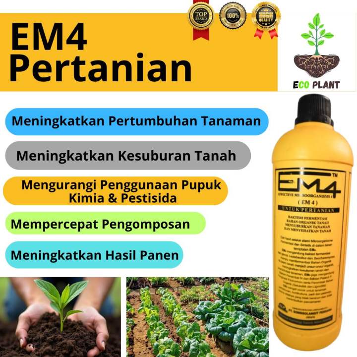 EM4 Pertanian Mikroorganisme 4, Bakteri fermentasi untuk pertanian ...