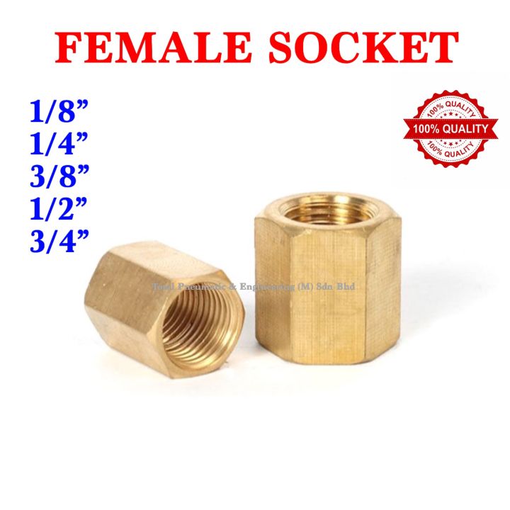 Brass Fitting Female Socket 1/8” 1/4” 3/8” 1/2” 3/4” Brass Female ...