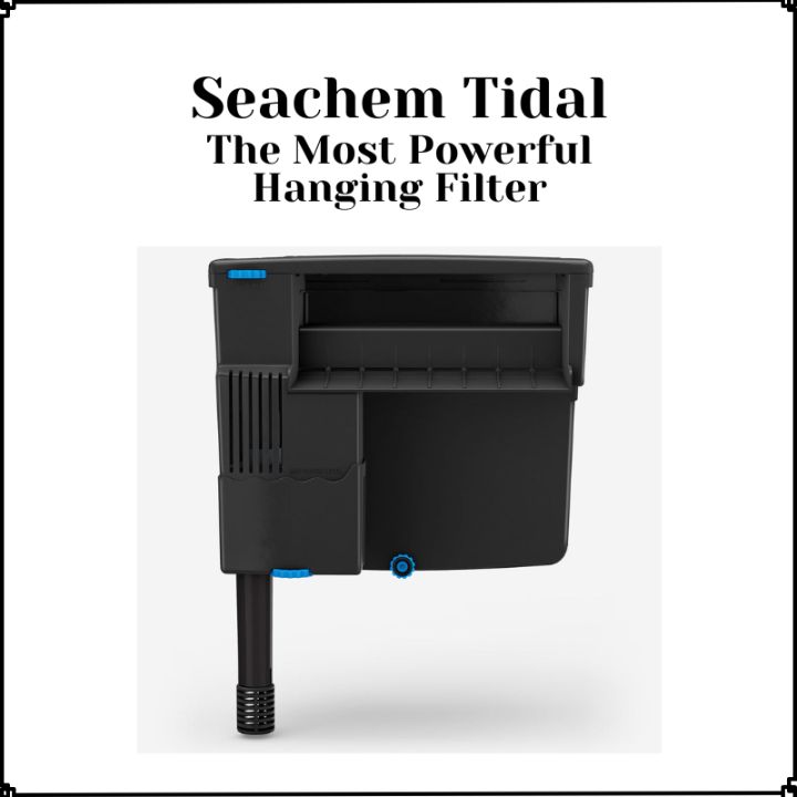 SEACHEM Tidal Power Filter with surface skimmer, self-priming, self ...