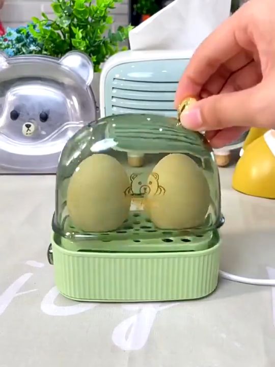 KONKA 40ML Mini Egg Cooker120W/220V Electric Automatic Power Off Egg ...