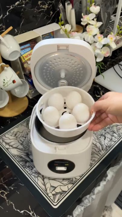 MAIMEITE Mini Rice Cooker 2L With Steamer Small Multifunctiona Rice ...