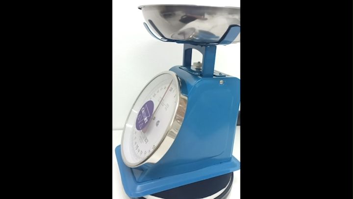 30kg Analog Weighing Scale Commercial Kitchen Spring Balance Weight ...