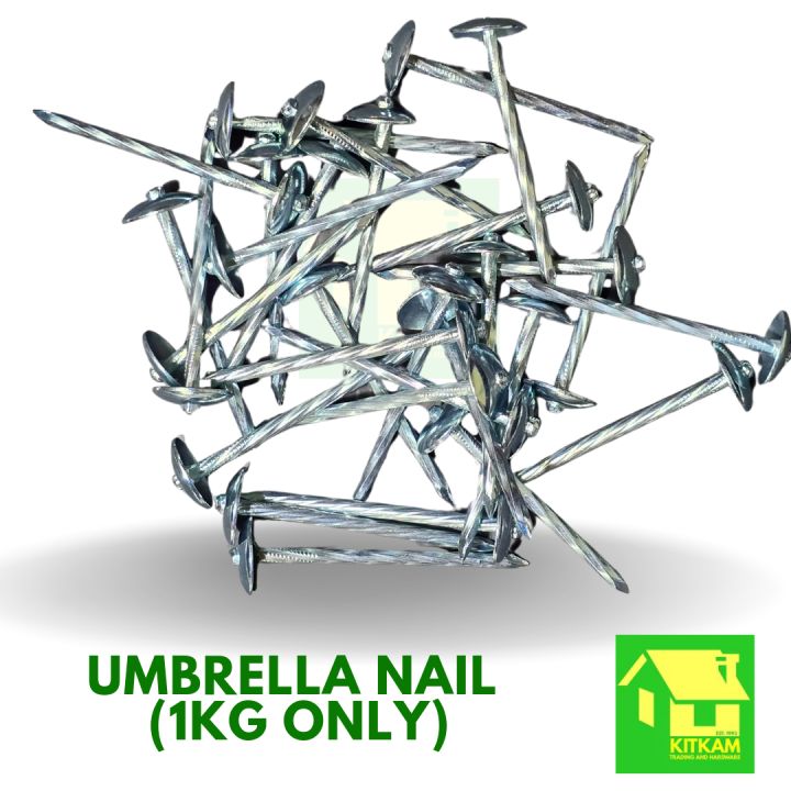Umbrella Nail (1kg Only) Roofing Nail Twisted Nail | Lazada PH