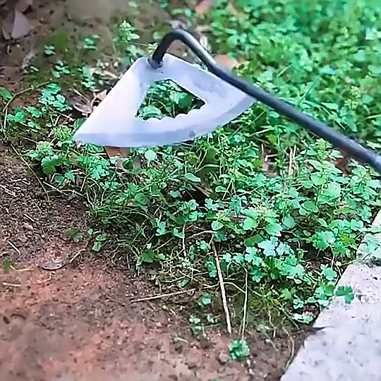 Farm Tool Hoe for Planting Vegetables - Dual-Purpose with Special All ...