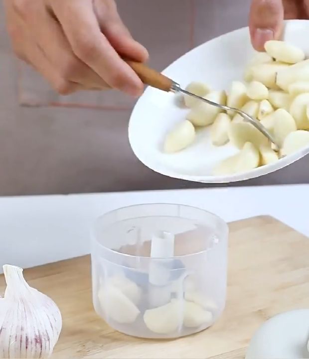 Multi-function Mini Food Chopper Hand Pull Garlic Grinder Onion Ginger ...