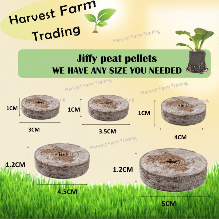 Peat Pellets For Seed Starting 100 Count- Jiffy 36 MM Peat Soil Pellets ...