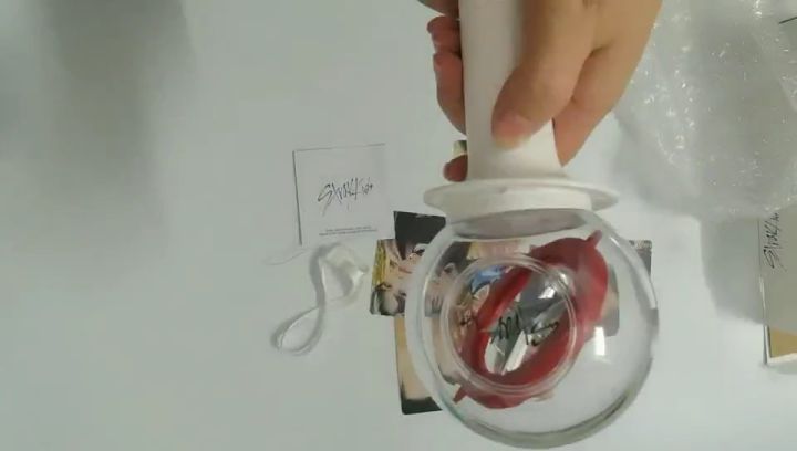 Straykids Lightstick Concert Supporting Light Stick with Freebies ...