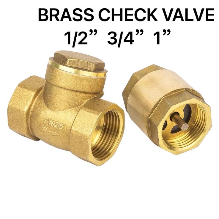 Brass Copper Swing Valve/Check Valve Thread Spring/Vertical Pump Valves ...