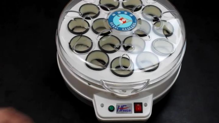 Electric Billiard Ball Cleaning Machine 220V Professional Pool Ball ...