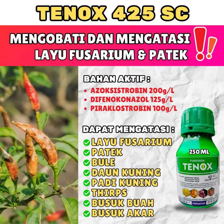 TENOX FUNGISIDA SISTEMIK PROTEKTIF-KURATIF tanaman | Lazada Indonesia