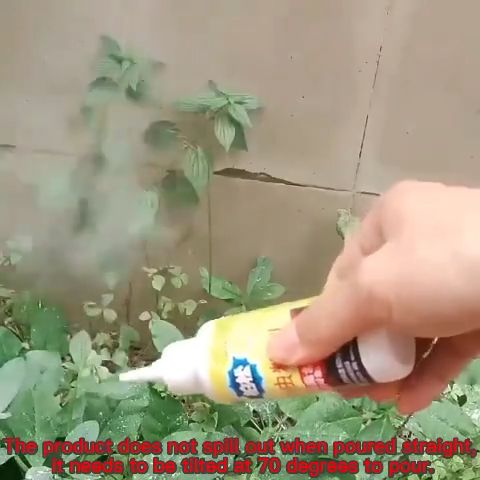 Termites Killer Solution Powder 75g Termite Killing Powder Anti Termite ...