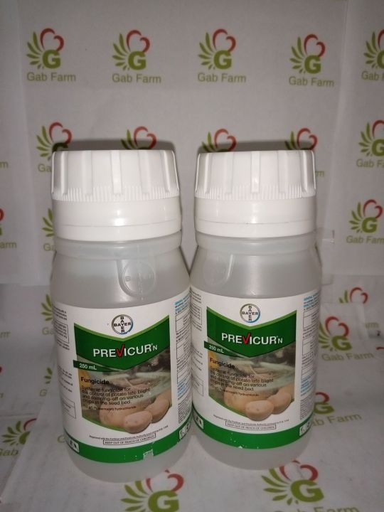 BAYER Previcur N (250 ml) | Lazada PH
