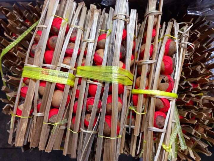 Sundot Kulangot from Baguio City | Lazada PH