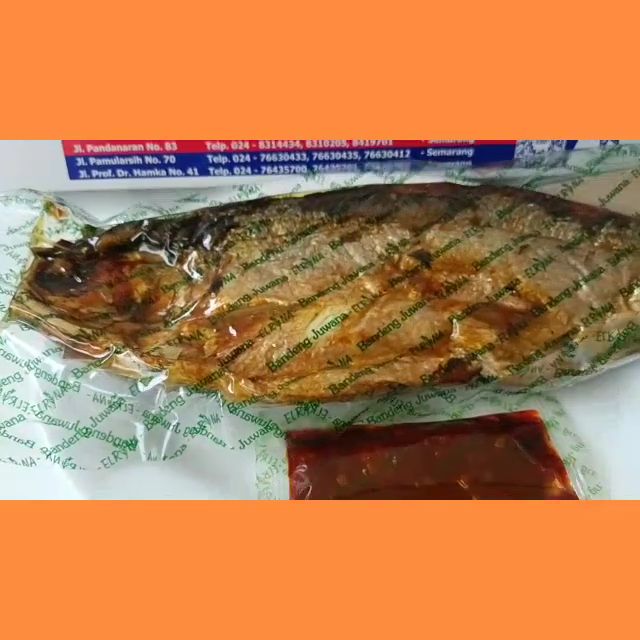Bandeng Juwana Jumbo Bandeng Erlina Ukuran Jumbo Bandeng Presto Duri ...