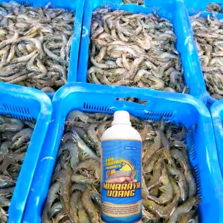 minaraya pengembali nafsu makan pada udang dan meningkatkan pertumbuhan ...