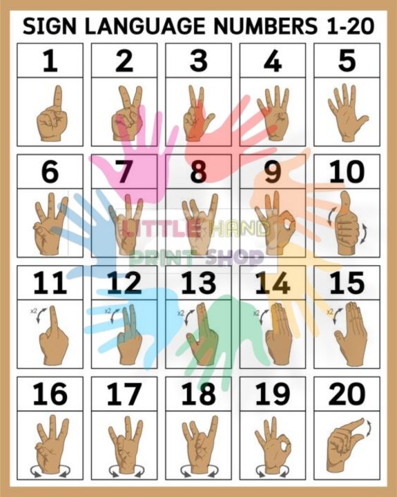 1-20 Sign Numbers A4 Laminated | Lazada PH