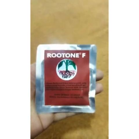 ROOTONE - F Pupuk Hormon Pertumbuhan Akar - Repacking 10gr | Lazada ...
