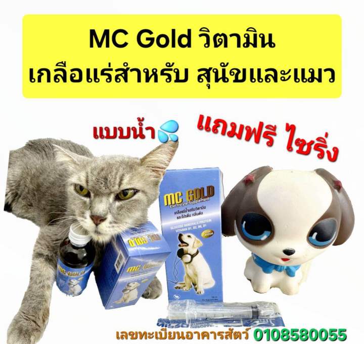 MC goldเกลือแร่และวิตามินแบบนํ้าในสุนัขและแมวแถมฟรีไซริ้ง3cc | Lazada.co.th