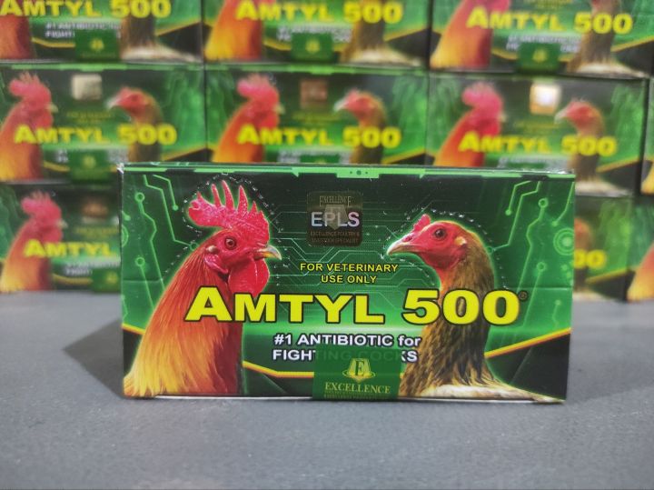 Amtyl Tablet | Lazada PH