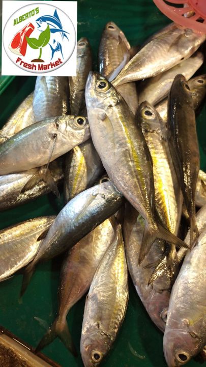 FRESH FISH MATAMBAKA 500g | Lazada PH