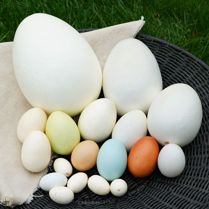 Simulation Egg Model Goose Egg Children's Painted Egg Dinosaur Egg ...