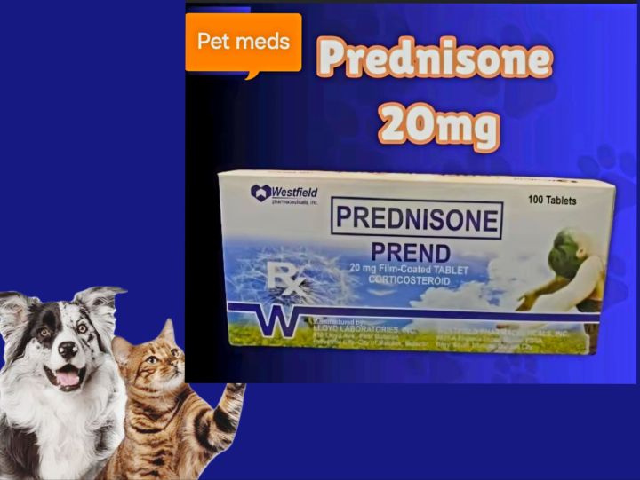 P R E N D 20mg Film Coated TABLET sold 100's per box | Lazada PH