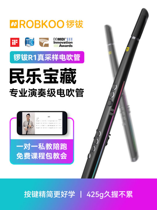 Authentic Sampled Domestic Electric Flute Instrument RoBkoo R1 True ...