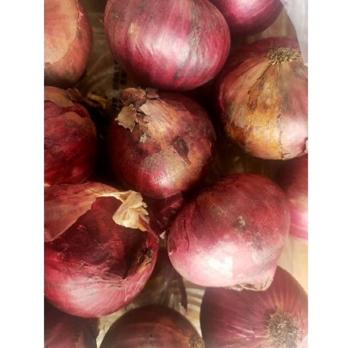 sibuyas 1 kilo/ pack | Lazada PH