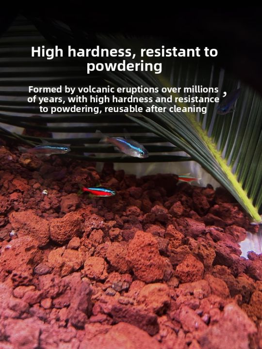 Sunsun | Aquarium Volcanic Stone Substrate for Scenery and Ancient Fish ...