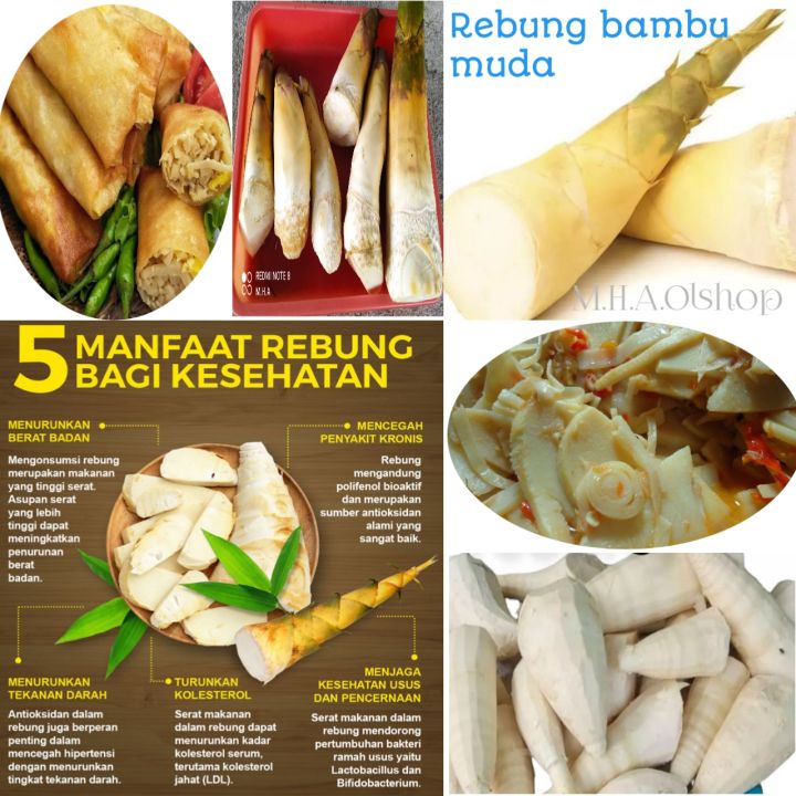 REBUNG BAMBU MUDA FRESH/SAYURAN BUNG 1 Kg (Siap konsumsi). | Lazada ...