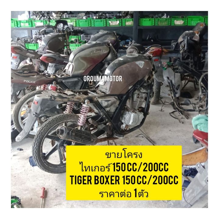 ขายโครง มอไซค์ Tiger Boxer 150cc ,200cc ไทเกอร์ สีน้ำตาล ราคา ต่อ 1 ...