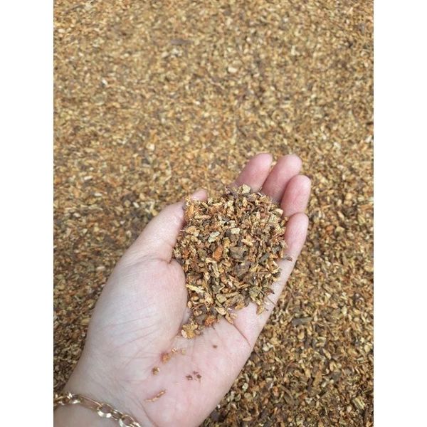 KLEMBAK / KELEMBAK KERING GILING SUPER 100 GRAM | Lazada Indonesia