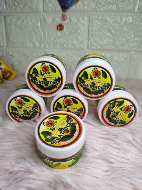 Ugat Bicks 10 pcs pcs per pack | Lazada PH