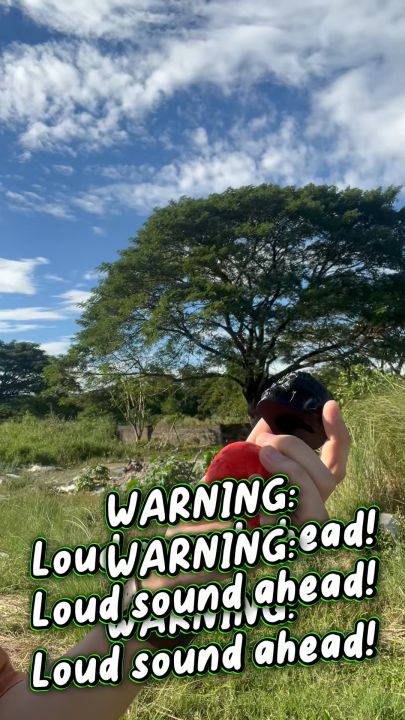 PixelBlock3D Aztec Death Whistle Scary Sounding Whistle Prank Toy Gift ...