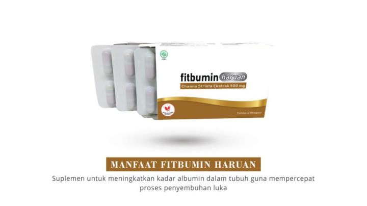 FITBUMIN HARUAN 500mg (Ekstrak Ikan Gabus) | Lazada Indonesia