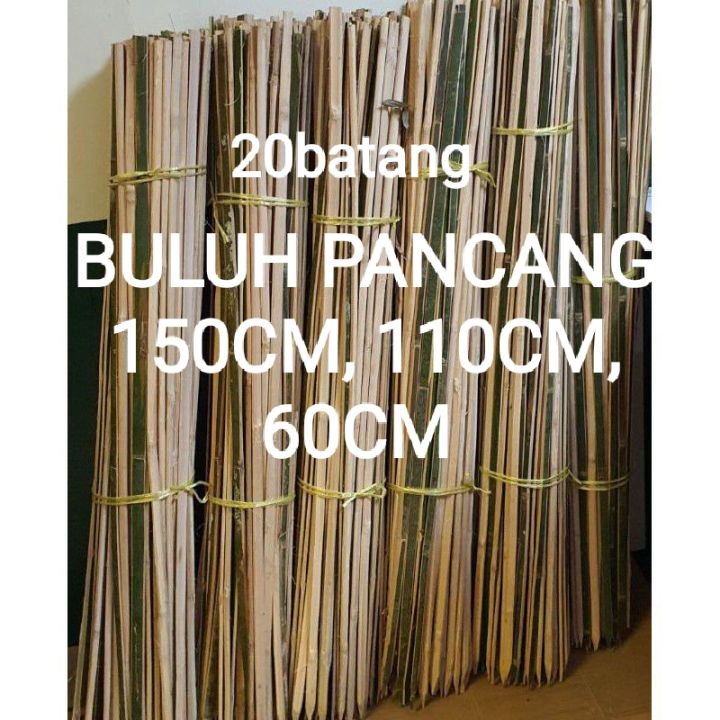 BULUH PANCANG STOCK BARU 1set 25batang/ Bamboo STAKE | Lazada