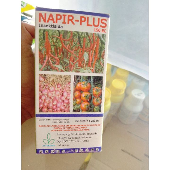 Napir plus 250ml insektisida pestisida Obat Pertanian obat sawah ...