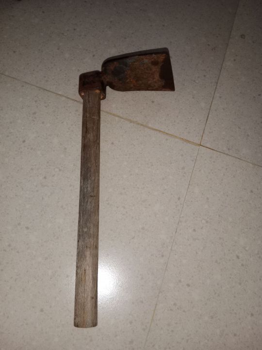 asarol made in japan | Lazada PH