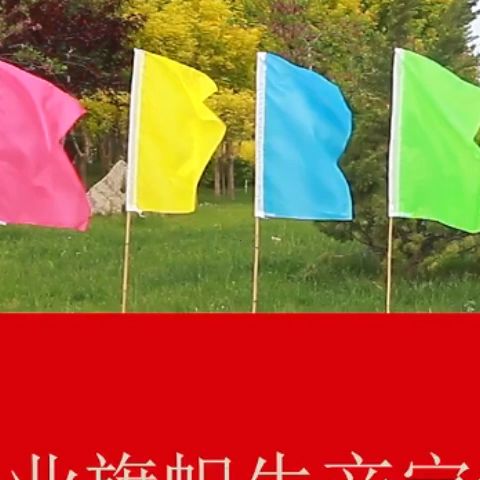 10Pcs Colour Flag 5 Color Vertical Colored Decorative 70x110cm Fiesta ...