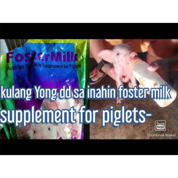 Foster Milk: Acified Sow Milk Supplement for Piglets, Dogs and Cats ...