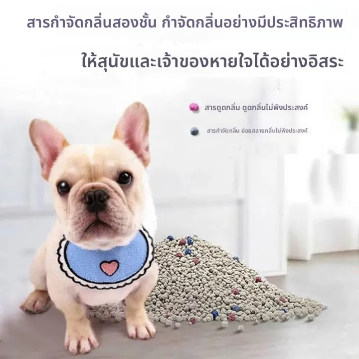 Defasilk | ทรายสำหรับสุนัขดูดซับกลิ่น 40 ปอนด์ | Lazada.co.th