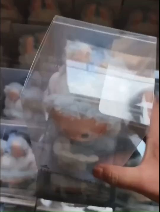 Labubu [Fishtail Lion] Pop Mart Fishtai พวงกุญแจสุดน่ารักThe Monsters ...