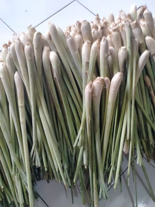Serai fresh 1 kg | Lazada Indonesia