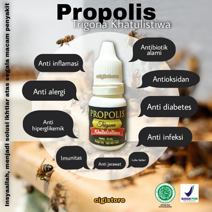Propolis Trigona Khatulistiwa Murni Asli 100 % Lebah Trigona sp. SNI ...